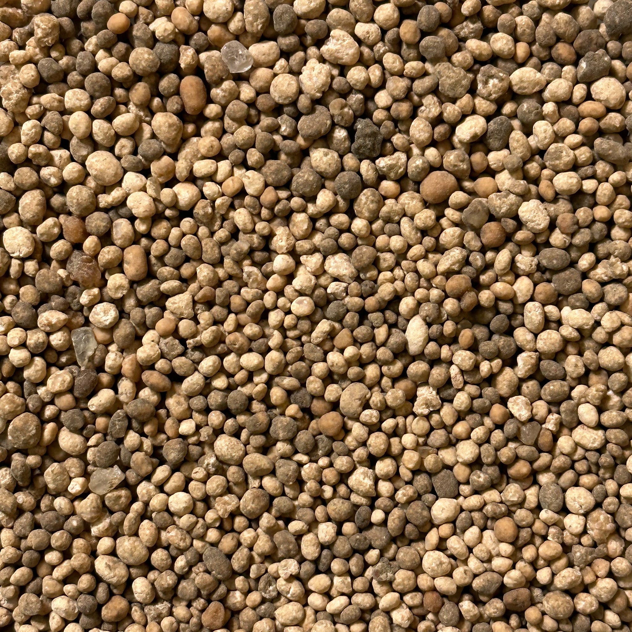 Sul-Po-Mag Granules | Potassium, Magnesium & Sulfur for Plants ...