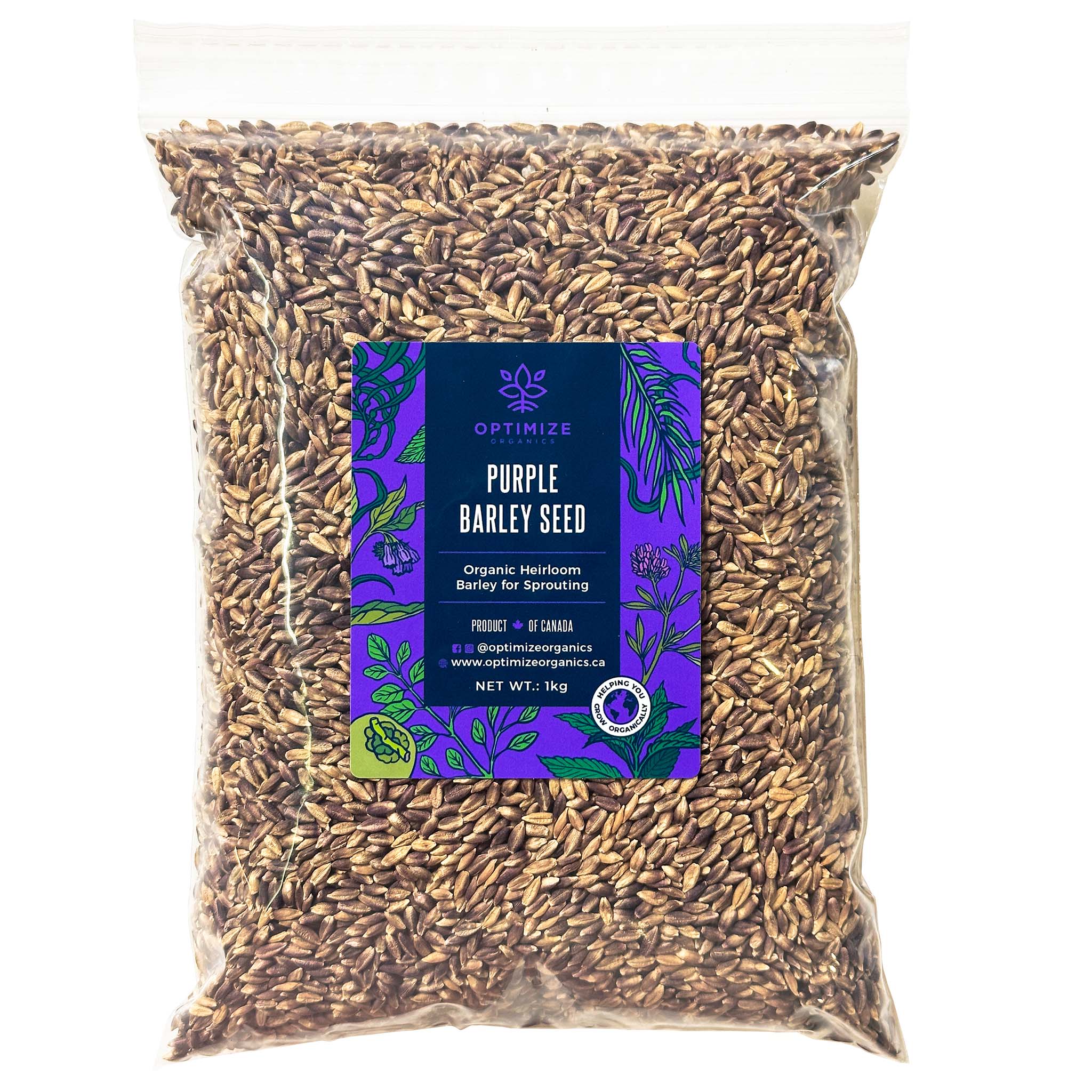 Purple Barley Seed | For DIY Sprouted Enzyme Drench – Optimize Organics Inc